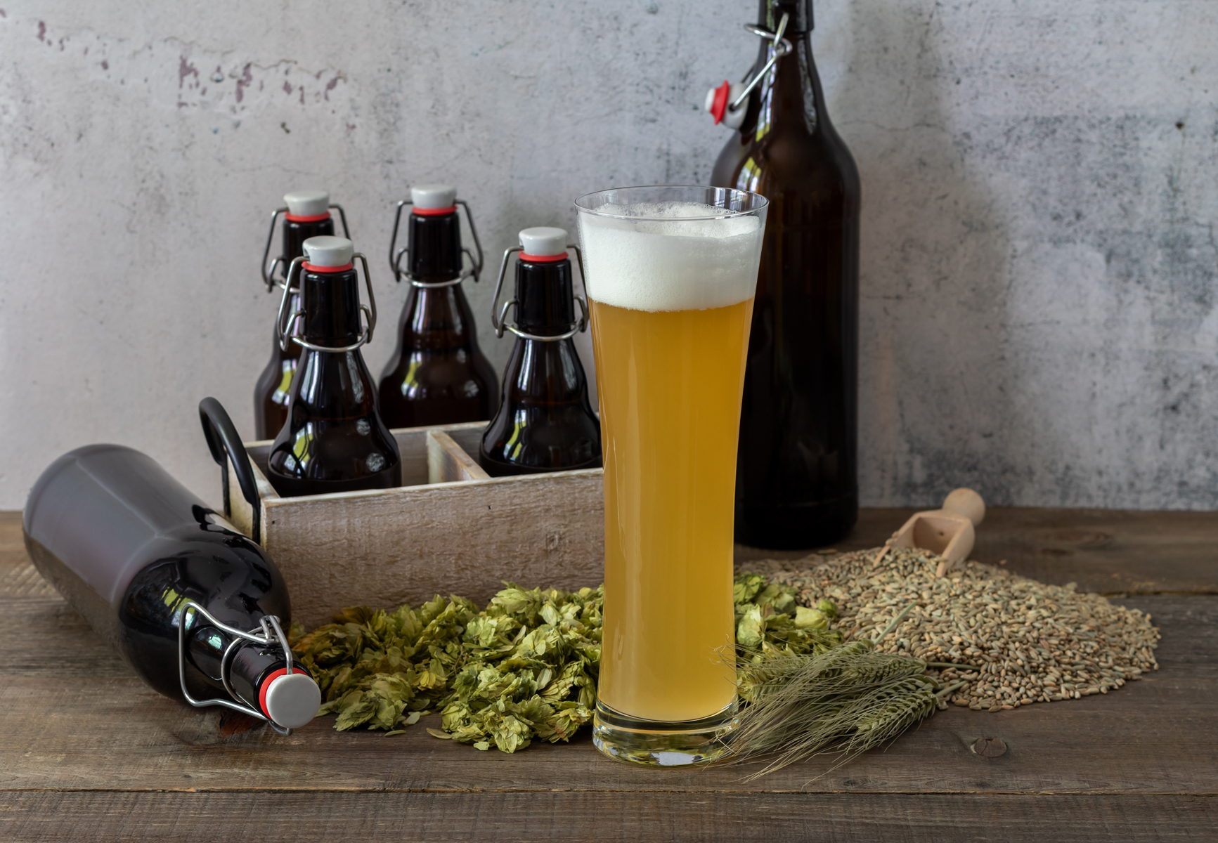 Home-Brewing Beer Recipes – Mother Earth News